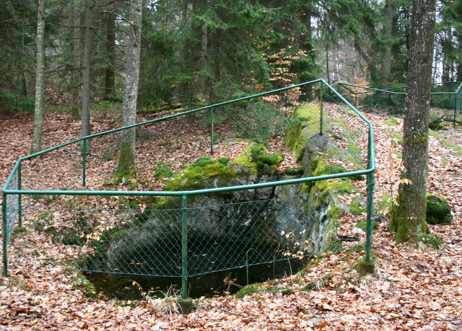 Bli en skogsdetektiv - Skogen i Skolan