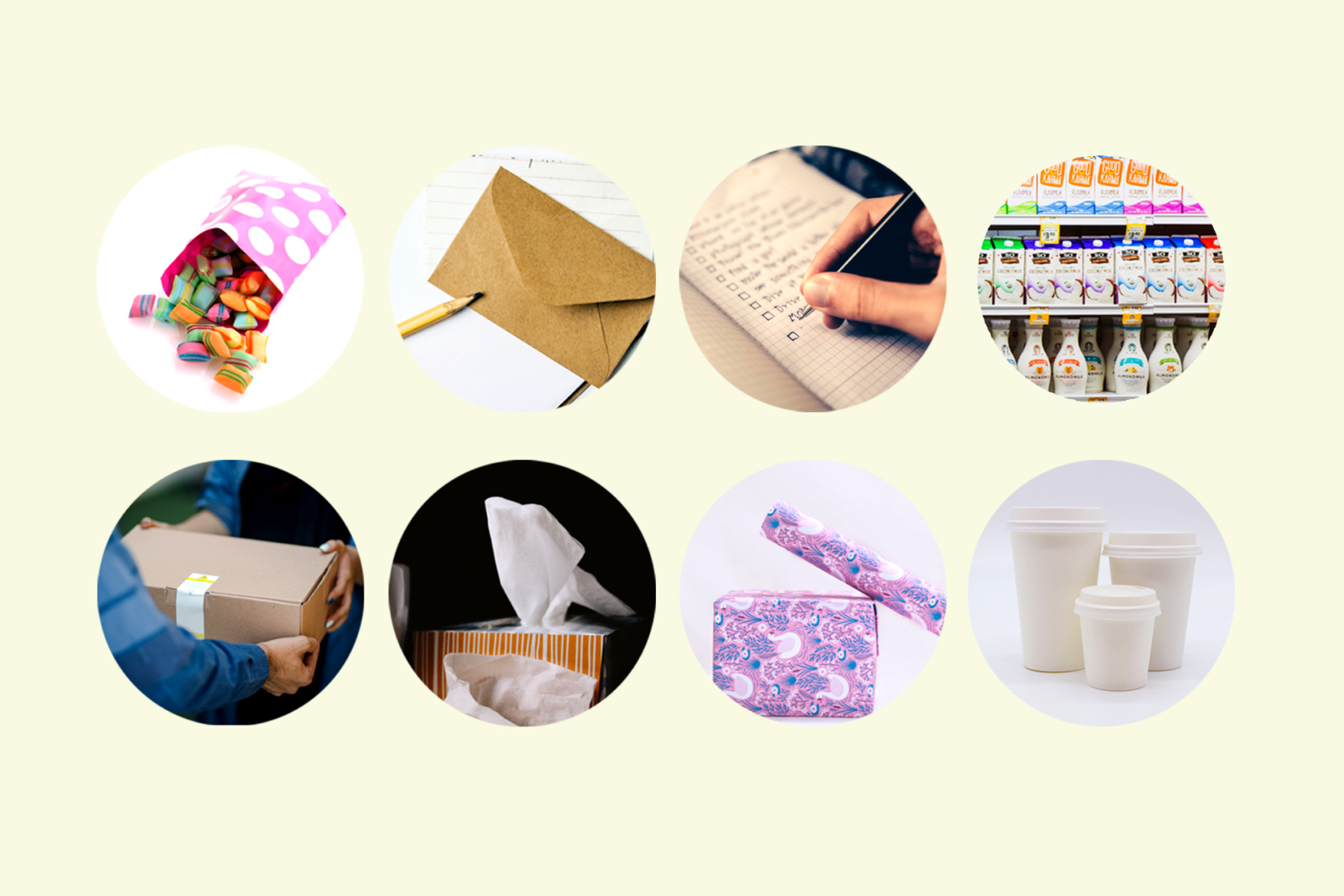 Från träd till papper - Skogen i Skolan