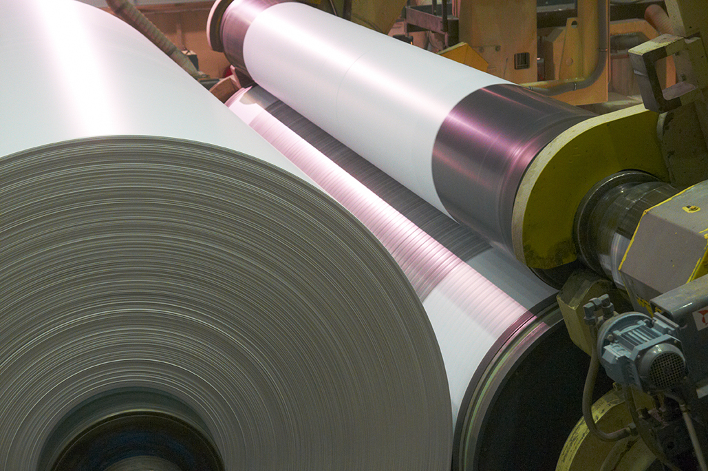 Från träd till papper - Skogen i Skolan